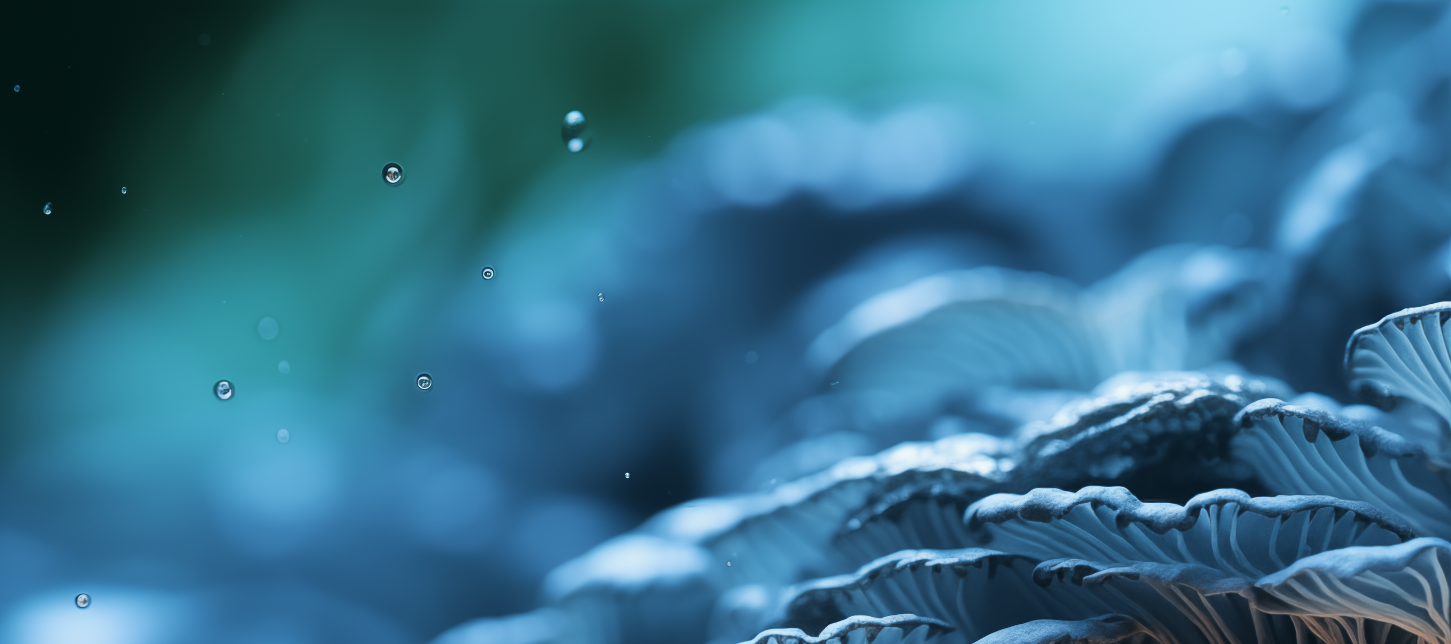 Media | Darling Ingredients