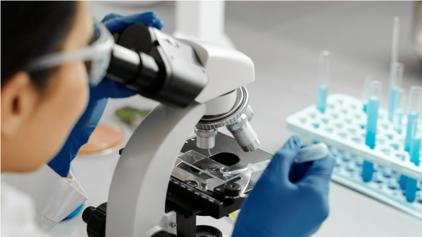 Brands | Darling Ingredients